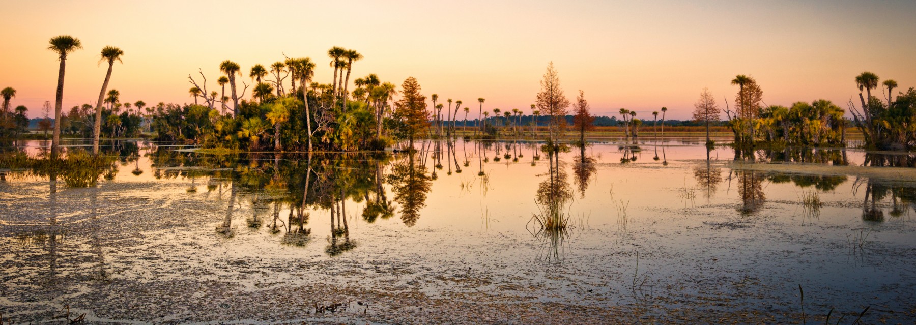 Everglades Agricultural Area Eaa Established Everglades Law Center