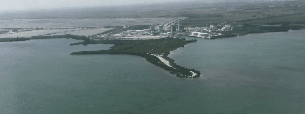 Help Us Challenge the Expansion of Turkey Point | Everglades Law Center