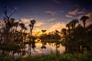 Everglades Restoration Timeline | Everglades Law Center