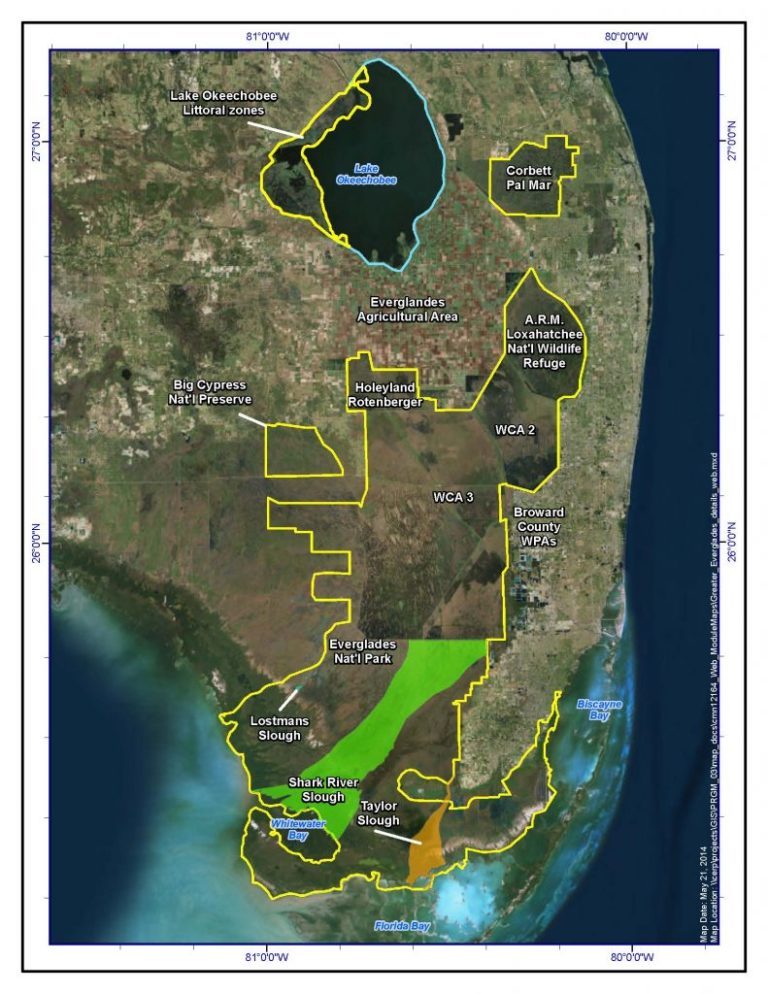 Everglades Restoration Timeline | Everglades Law Center