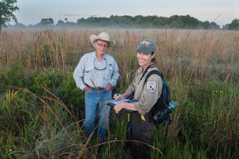 Everglades Restoration Timeline | Everglades Law Center